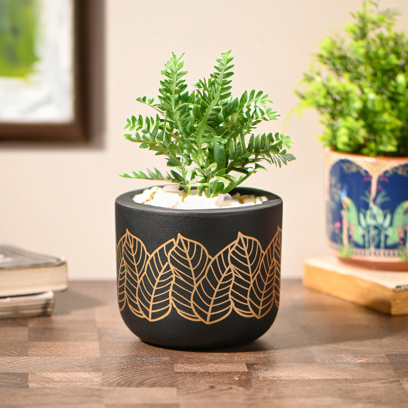 Matte Black Golden Leaves Room/Table Planter, Handcrafted Terracotta P ...